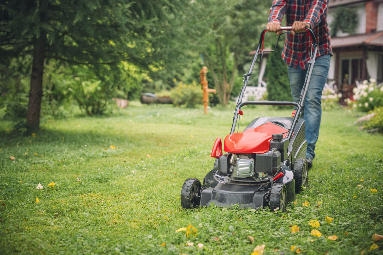 Professional Garden And Lawn Care Services Can Make A Difference 