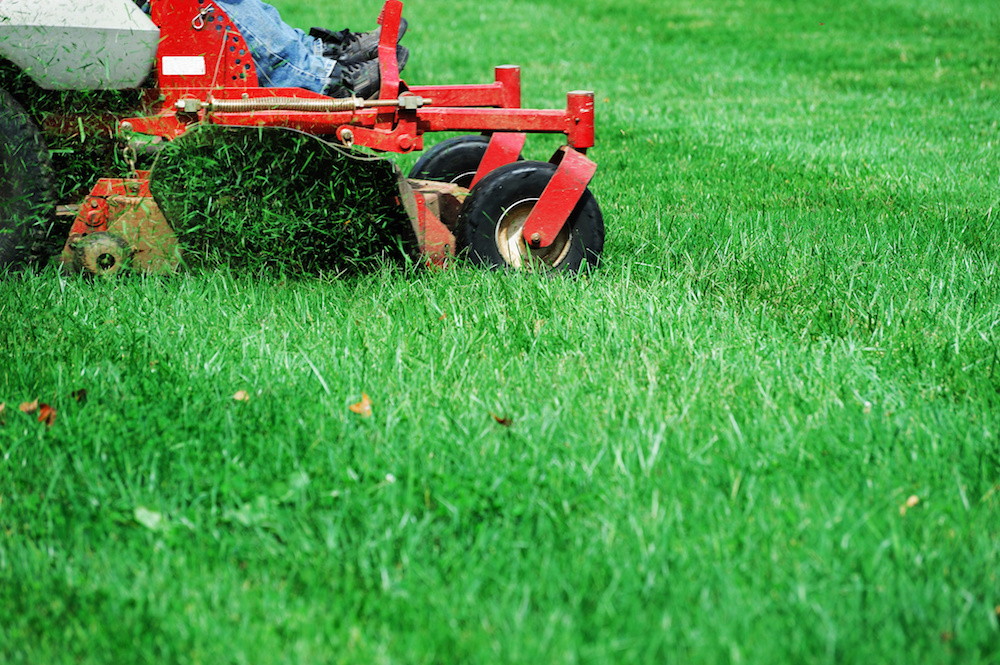 How Is A Dedicated Lawn Maintenance Service Worth It BRANTFORD How Is A Dedicated Lawn Maintenance Service Worth It BRANTFORD
